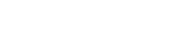 All-in-One Payment Solution I BlueSnap