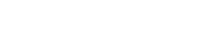 All-in-One Payment Solution I BlueSnap