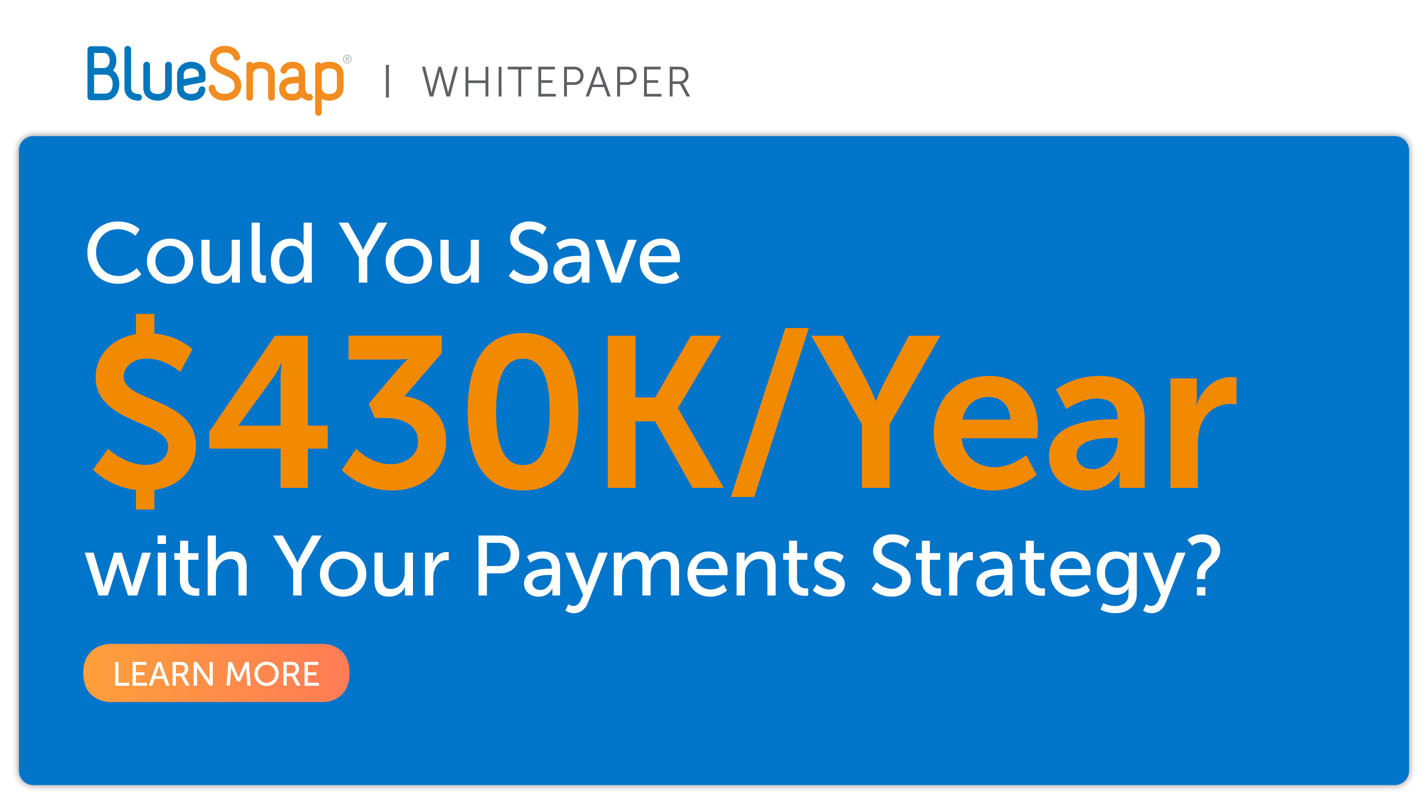 Get Your ROI Whitepaper Today | BlueSnap